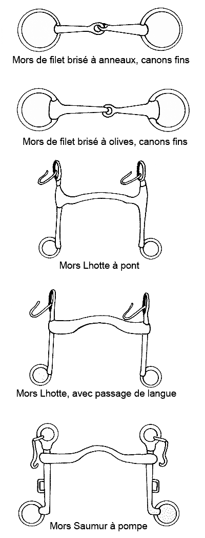 Le monde du Cheval: La bride