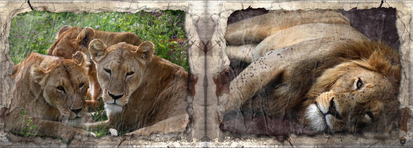 The f8 Group: Photography and Occasional Commentary: My (Big) Africa Book