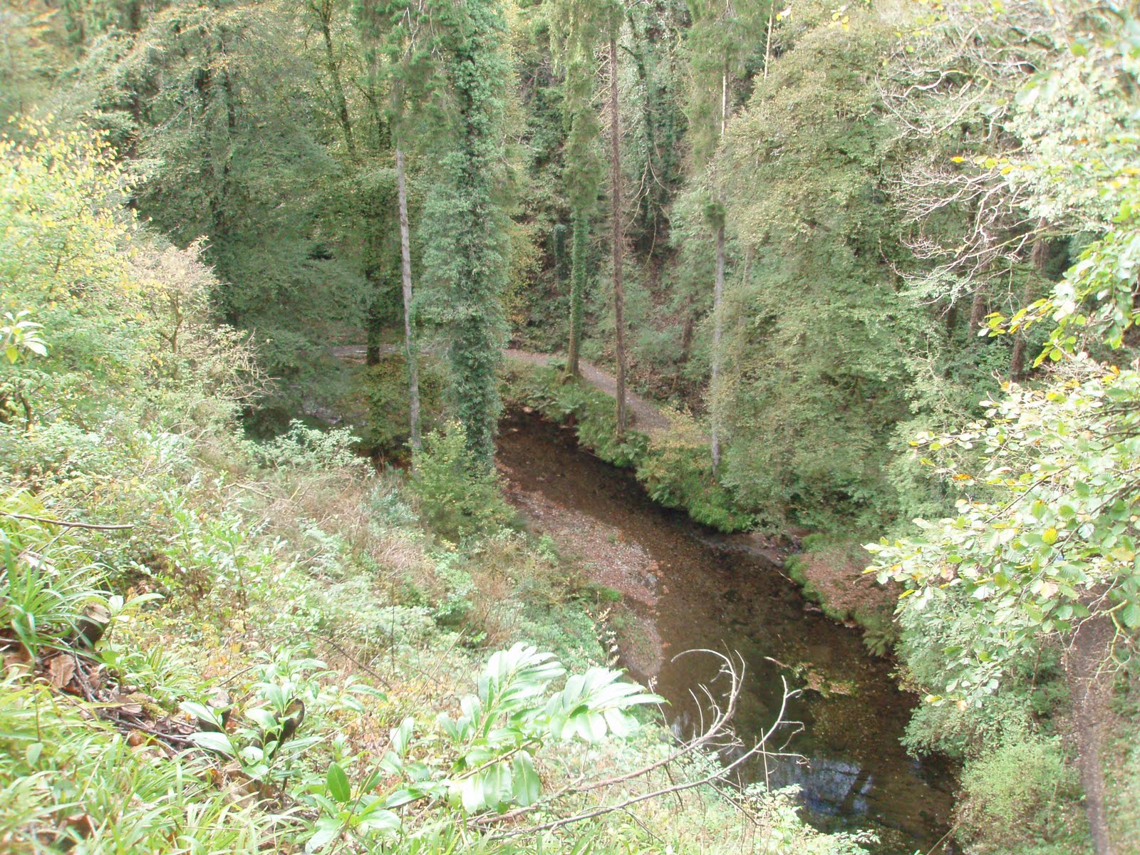 Cornwall - Beside the Sea: Meldon Reservoir and Lydford Gorge