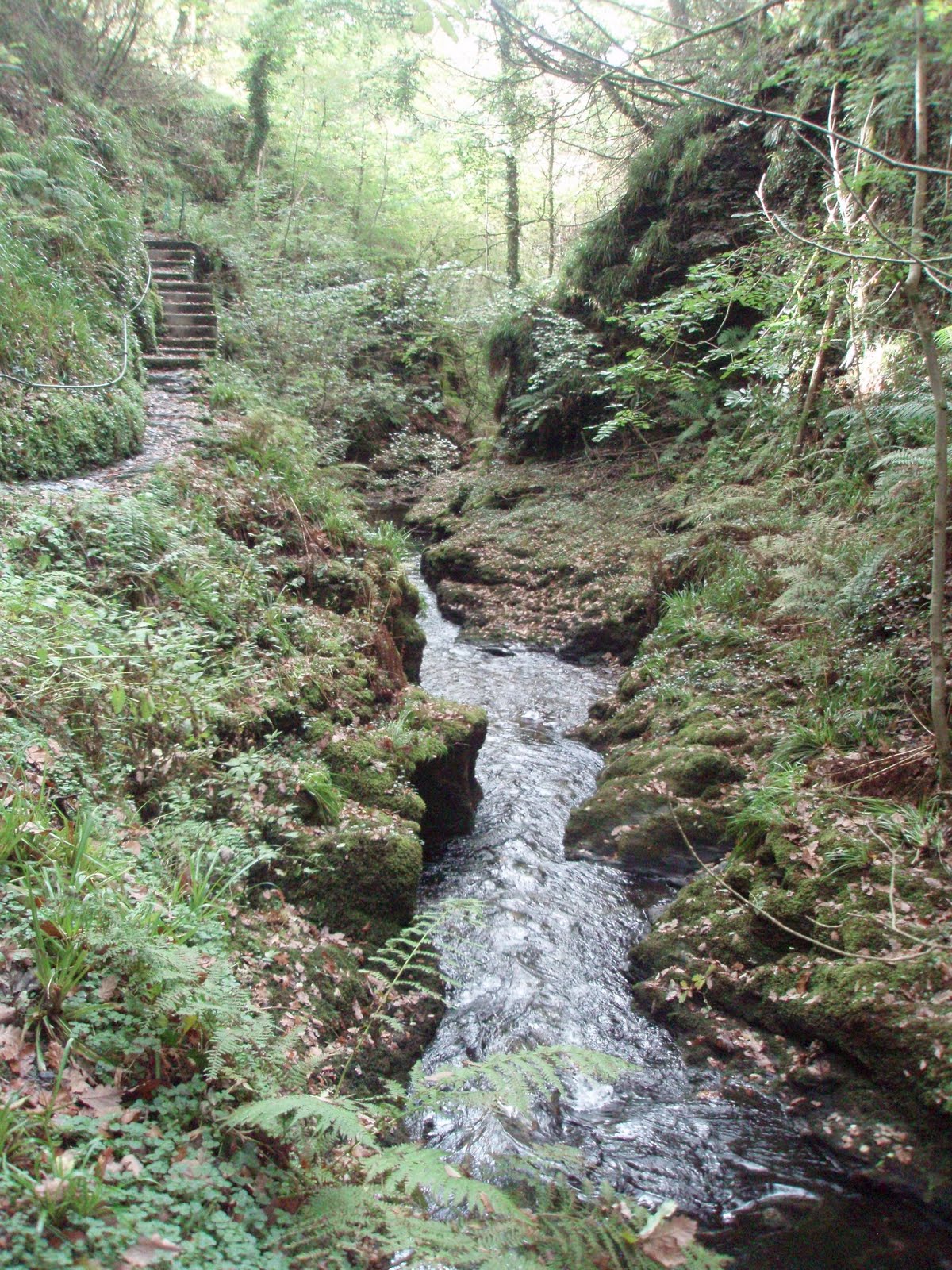 Cornwall - Beside the Sea: Meldon Reservoir and Lydford Gorge