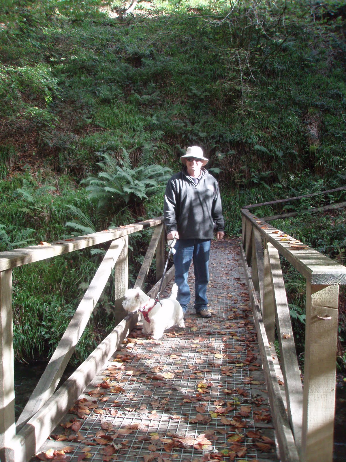 Cornwall - Beside the Sea: Meldon Reservoir and Lydford Gorge