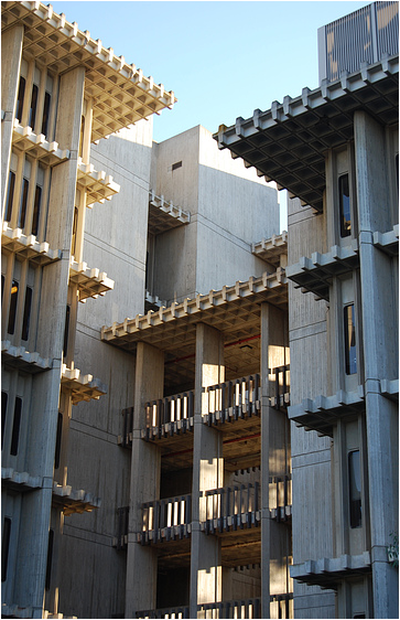 Experimental Syntax Lab