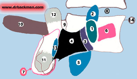 record of pieta: Scotty dog sign