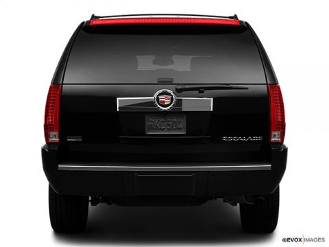 Seranitafari Street Team: The Cadillac Escalade