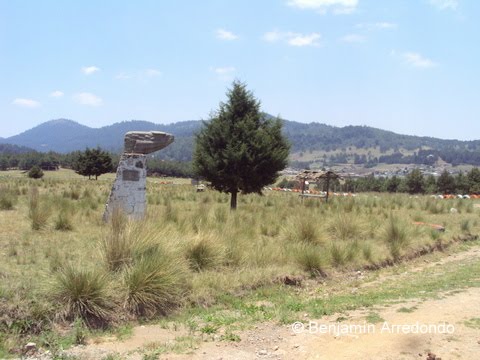 Cabezas de Aguila: Llanos de Salazar, Municipio de Lerma. Cabeza número 67