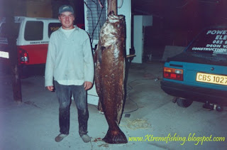 Fish Photo Galleries: Dusky Cob