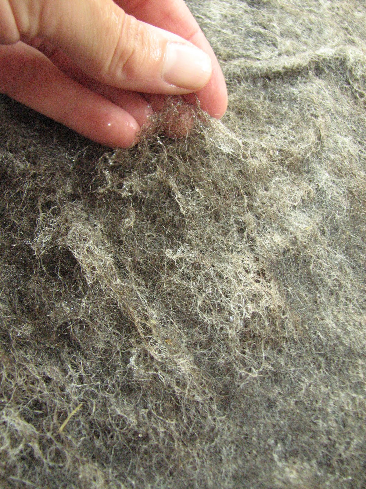 ANDREA GRAHAM : July 2010