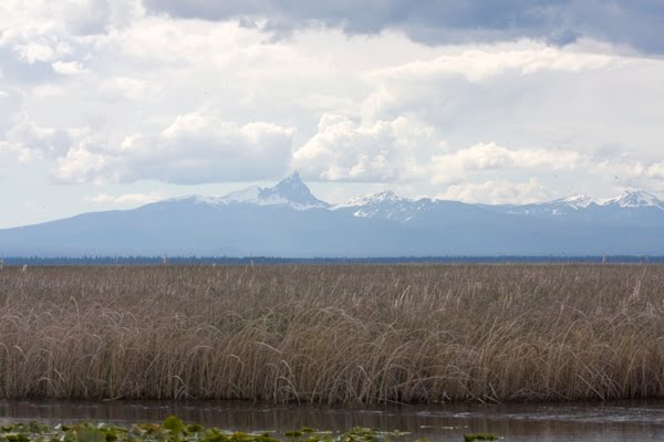 Frode's Photoblog: Oregon Day IV: Klamath Marsh National Wildlife Refuge