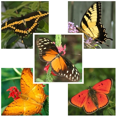 Double Dares with BBH - Kimberley @ DottieK | Beauty's Bad Habit