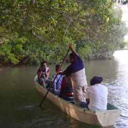Lugares Turísticos de Tabasco: Ruta Pantanos