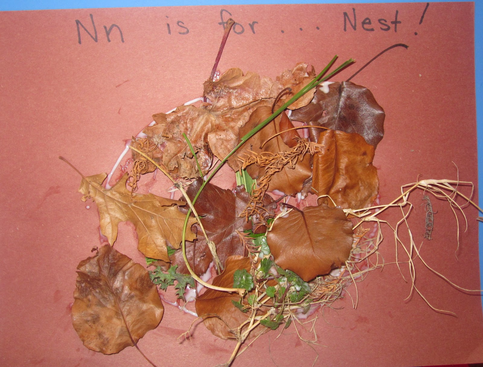 Imagination Express Preschool: N is for Nest!