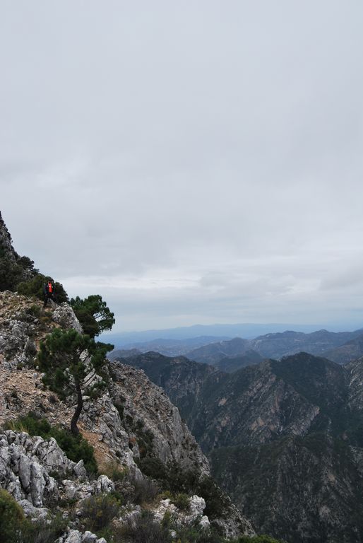 Sendeando y Viajando: ASCENSION AL ALMENDRÓN(1507M)-SIERRA ALMIJARRA