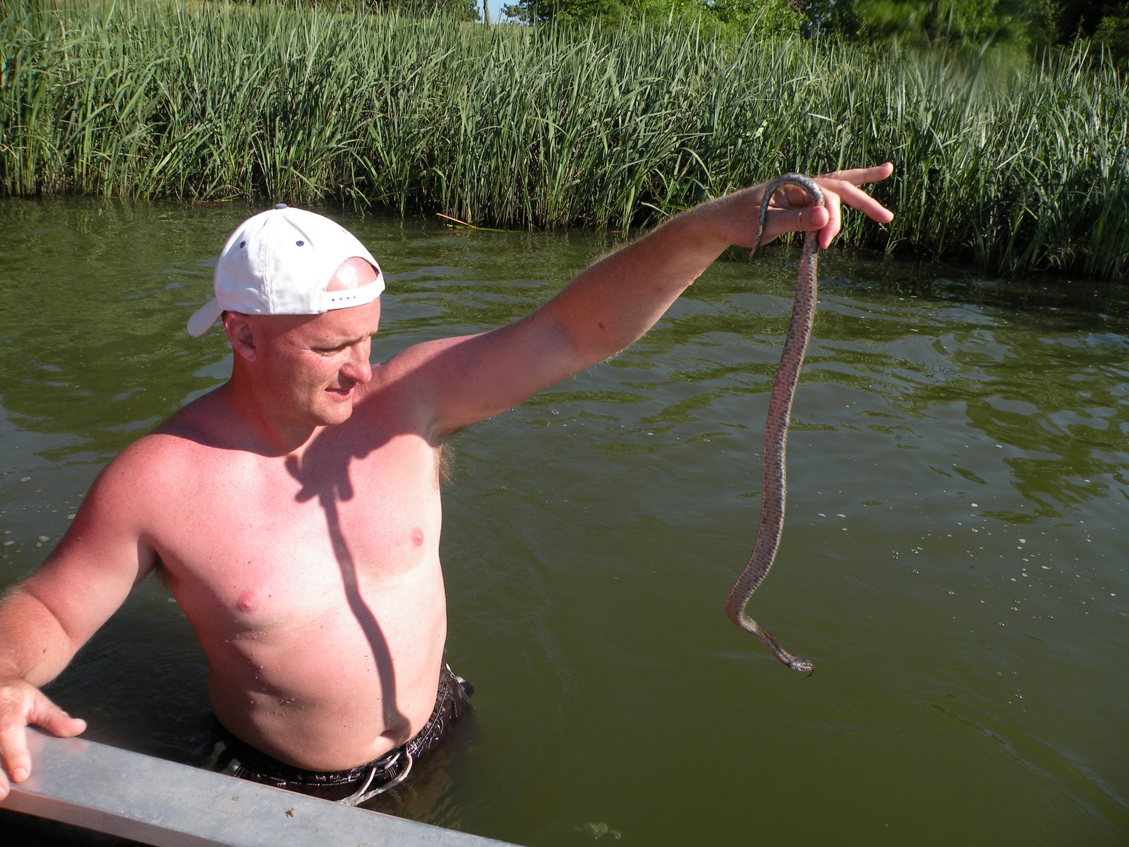 Snake Hunt Mississippi Style