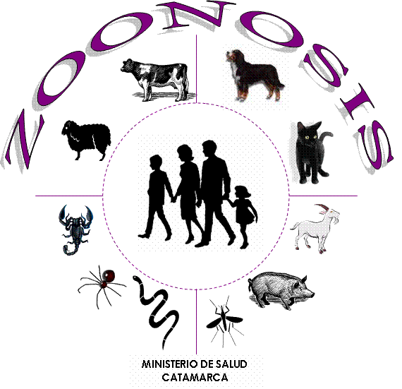 Rato de Ociosidad: Zoonosis Parte 1