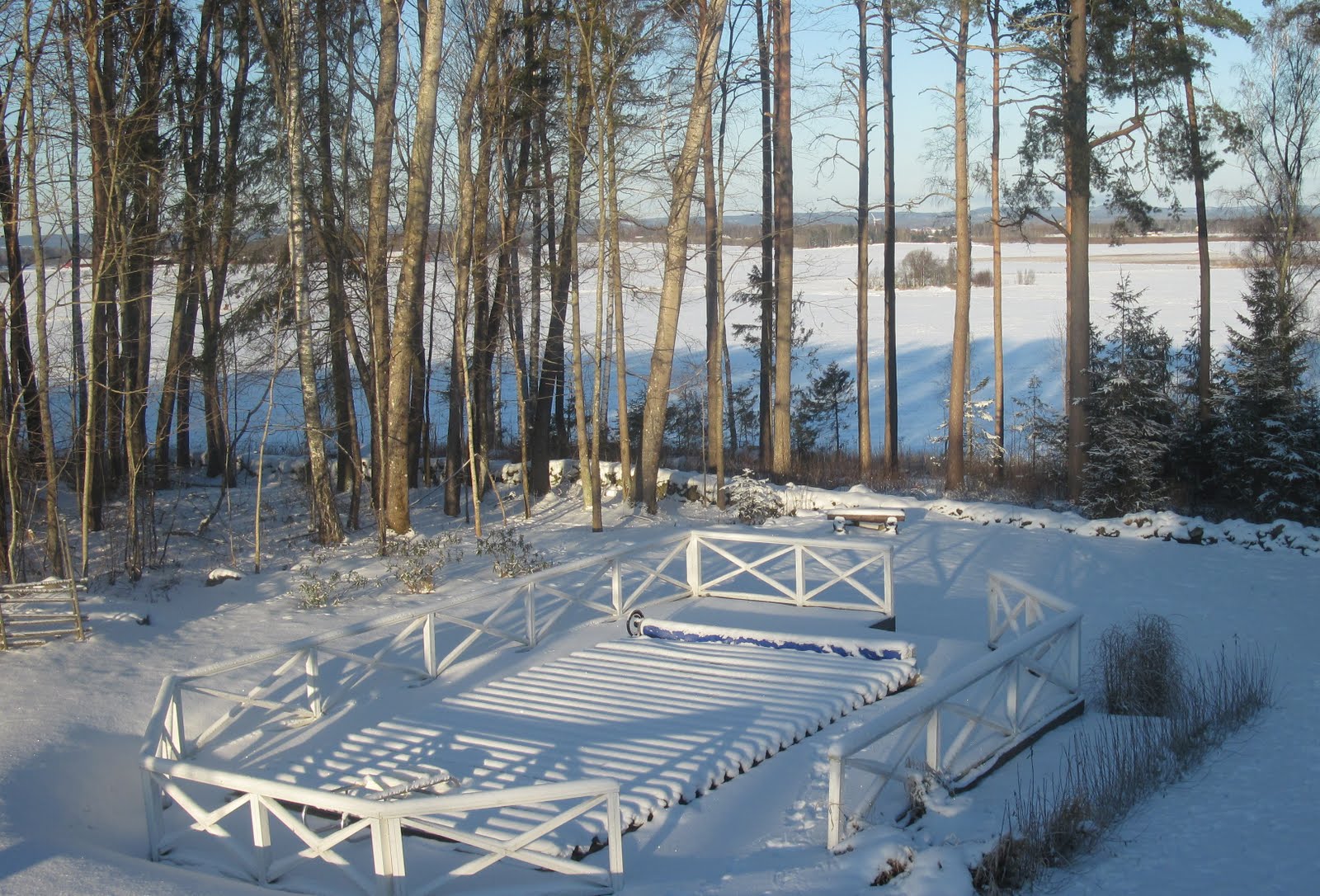 Steve reflekterar: Anders braskar...............