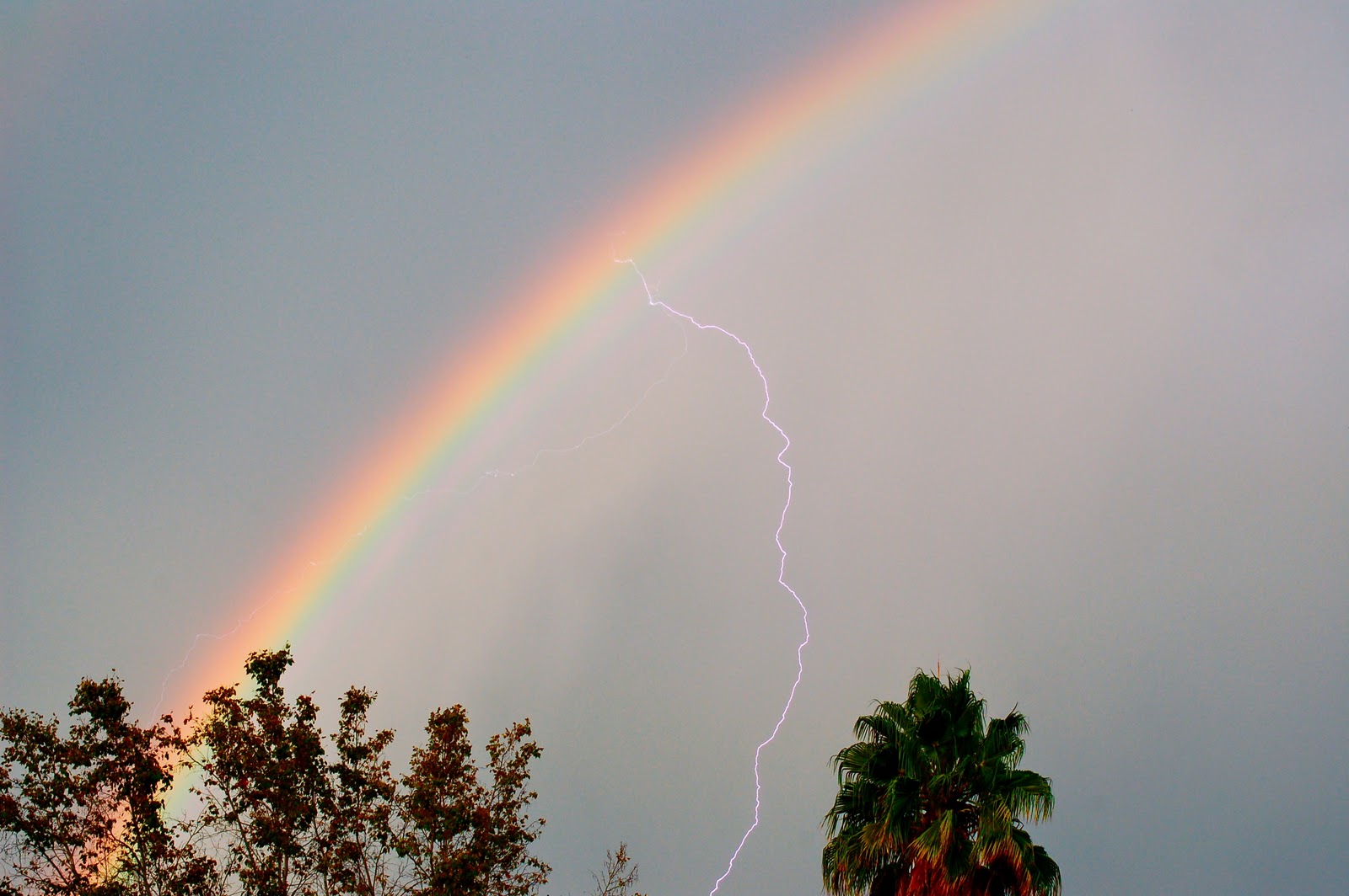 Fresh Angeles: Thunder, Lightning and a Rainbow