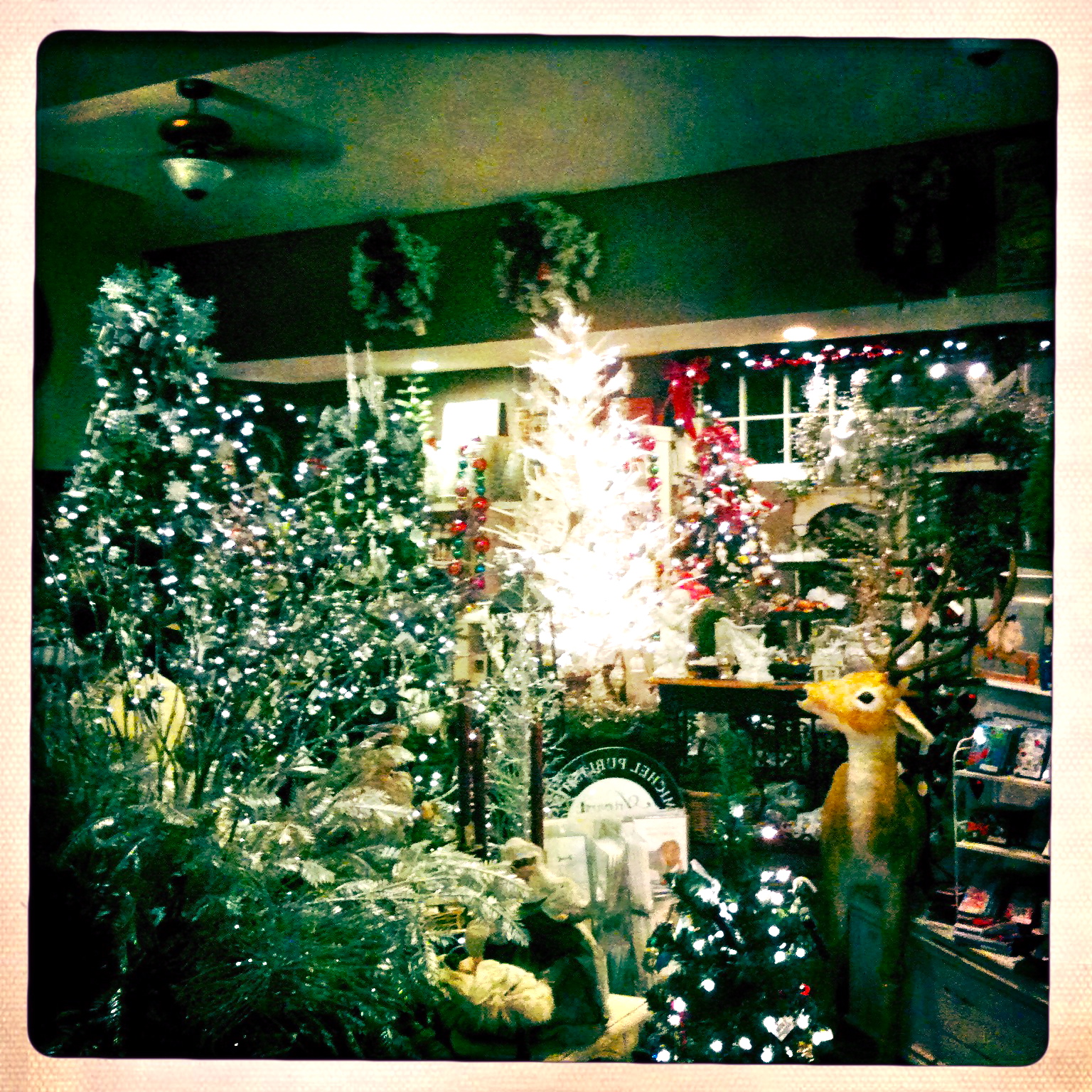 Fresh Angeles: Holiday Tradition at Sheridan Gardens