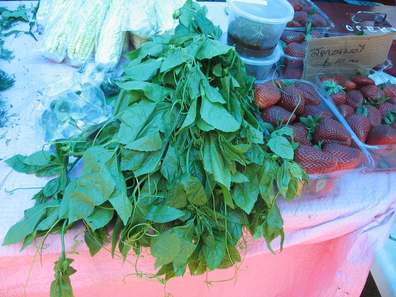 my walk with food and beautiful plants and flowers: Organic Vegetables ...