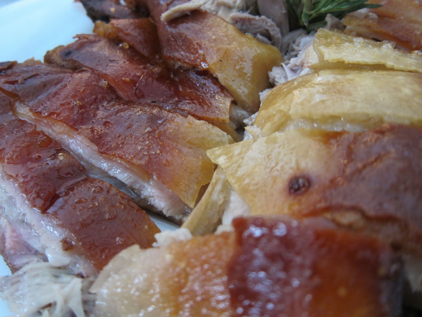 Foodicles: Cochinillo!