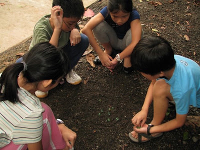 Fun with Nature: Fun with Kampong Games @ the NSS Get-Together
