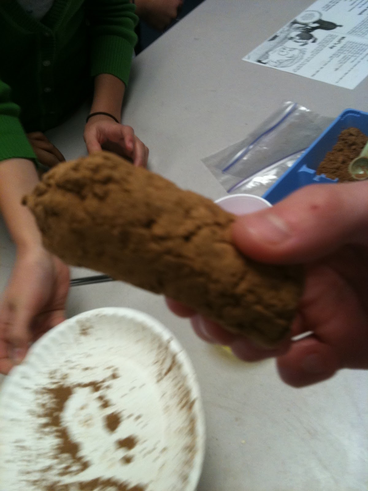 We Love Biology!: Studying the Digestive System