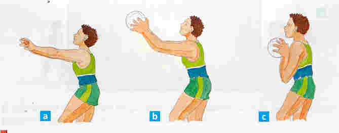 PROFESSOR STONE - Educação Física: Handebol