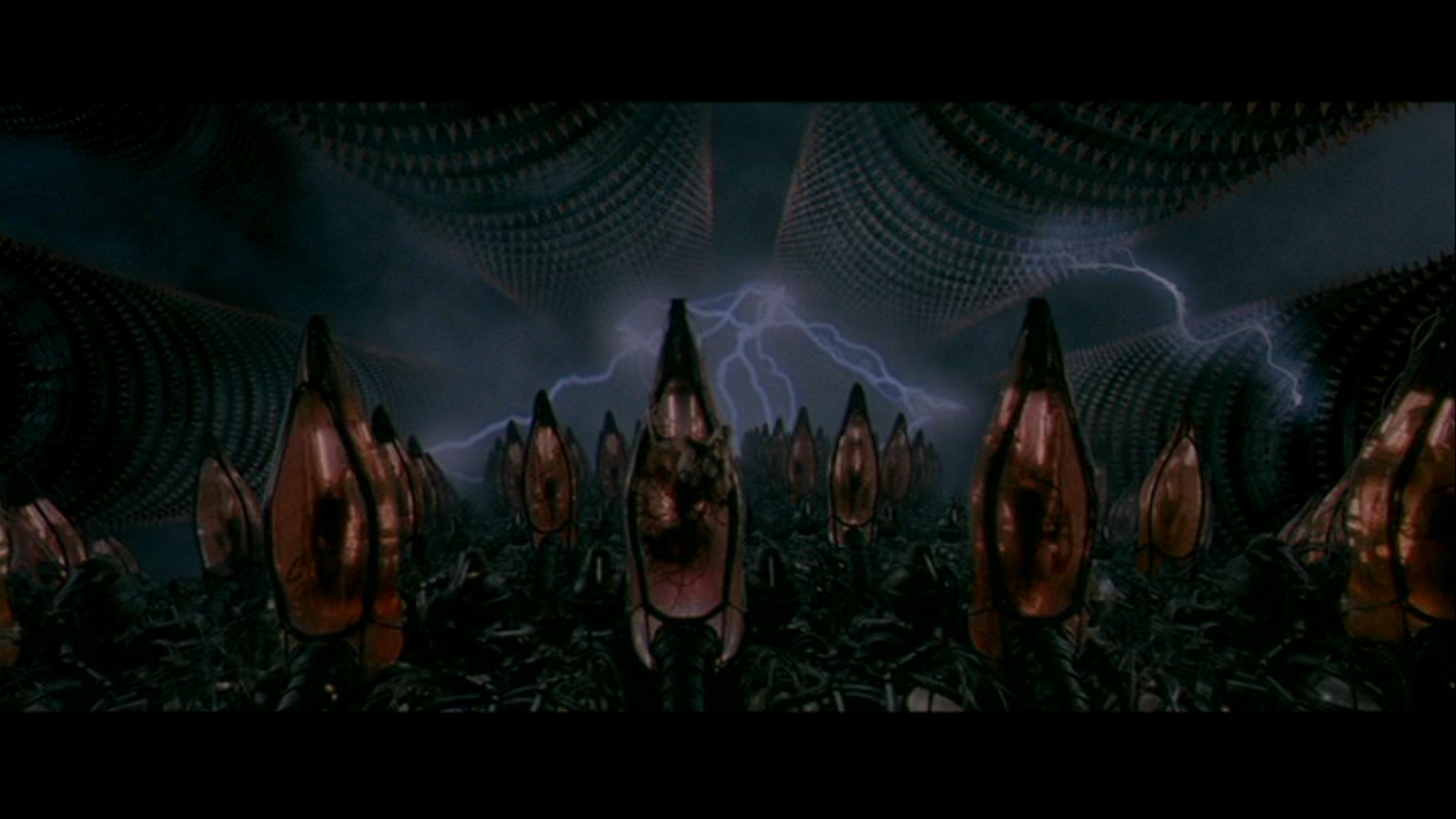 David's RTF Blog: Neo's Journey: The Matrix & The 3-Act Structure