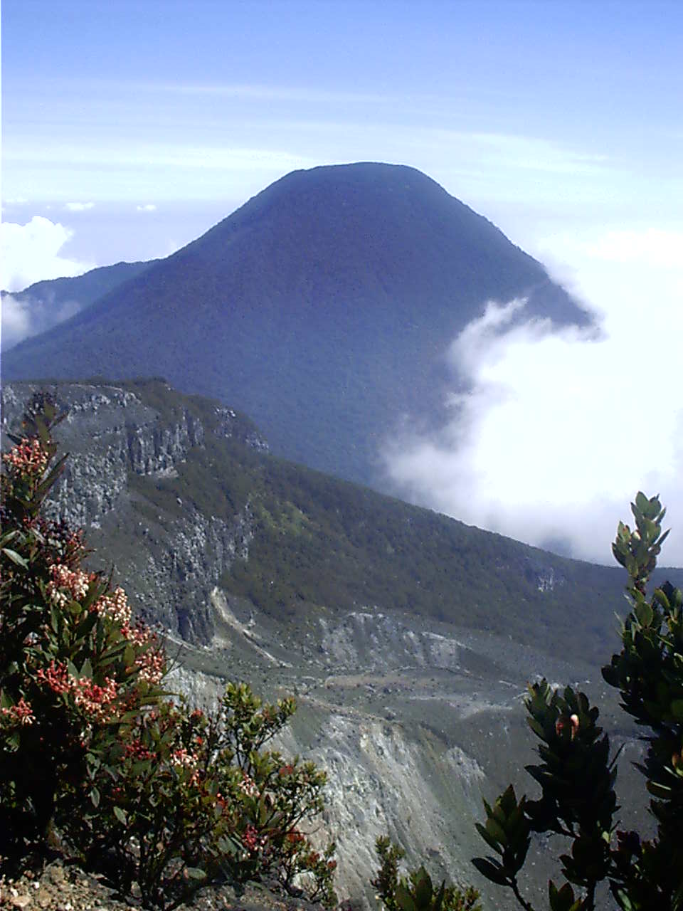 Gunung Pangrango Bogor - Perumperindo.co.id