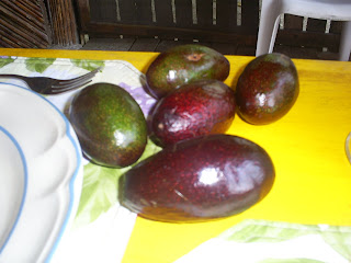 Mexican Fever: Edible Rind Avocados