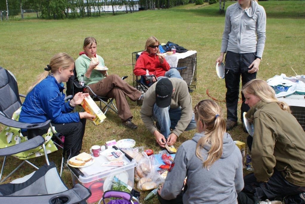 Belgerbloggen: Trenersamling 3 - Thomas Stokke, Klickerklok