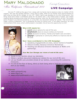 Idaho International Pageant Info: Example Platform Sheets