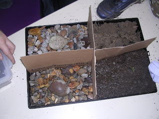 Dripfeeding: 6I Woodlice Habitat Experiment