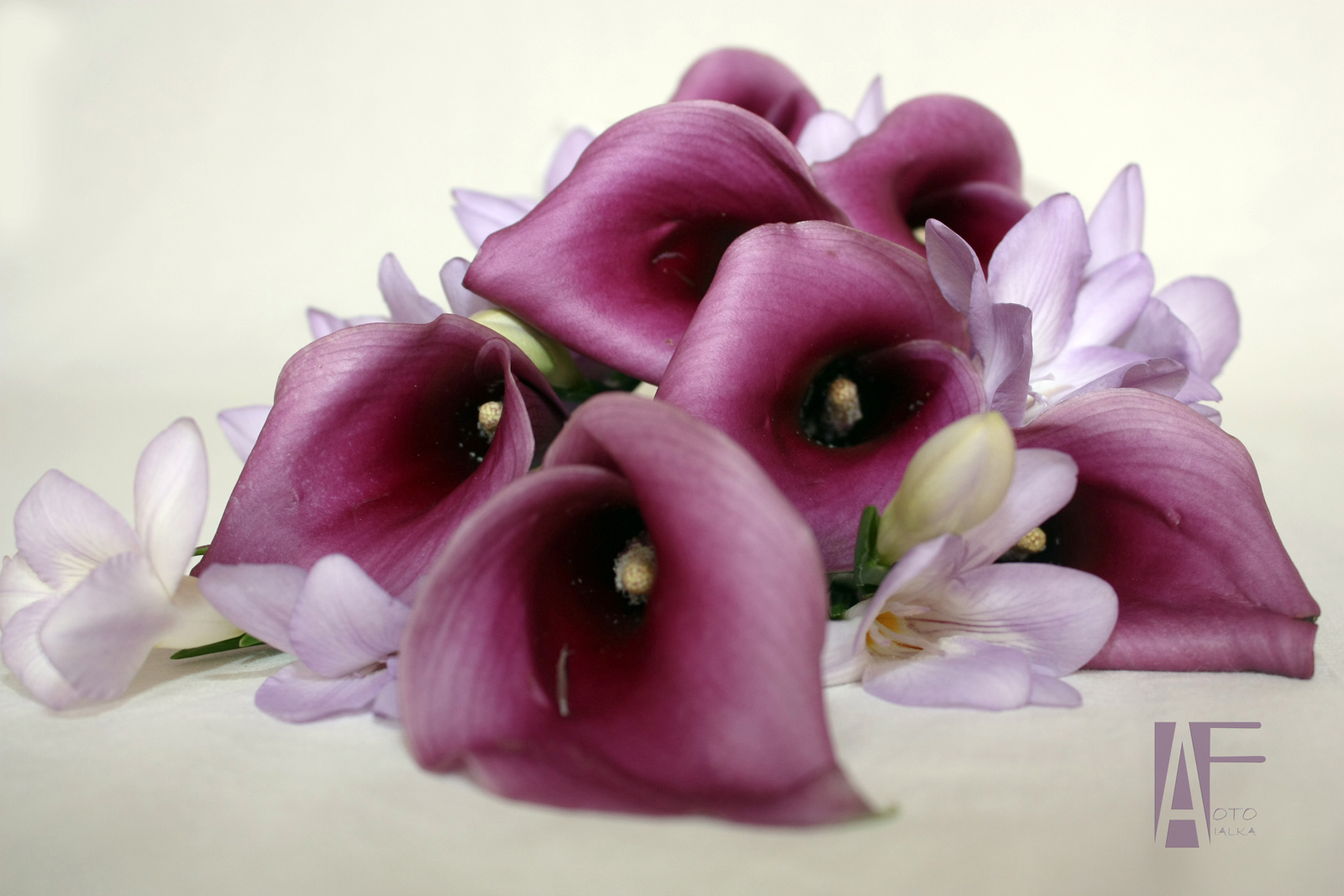 Foto Fialka: kytky (aranždekor)