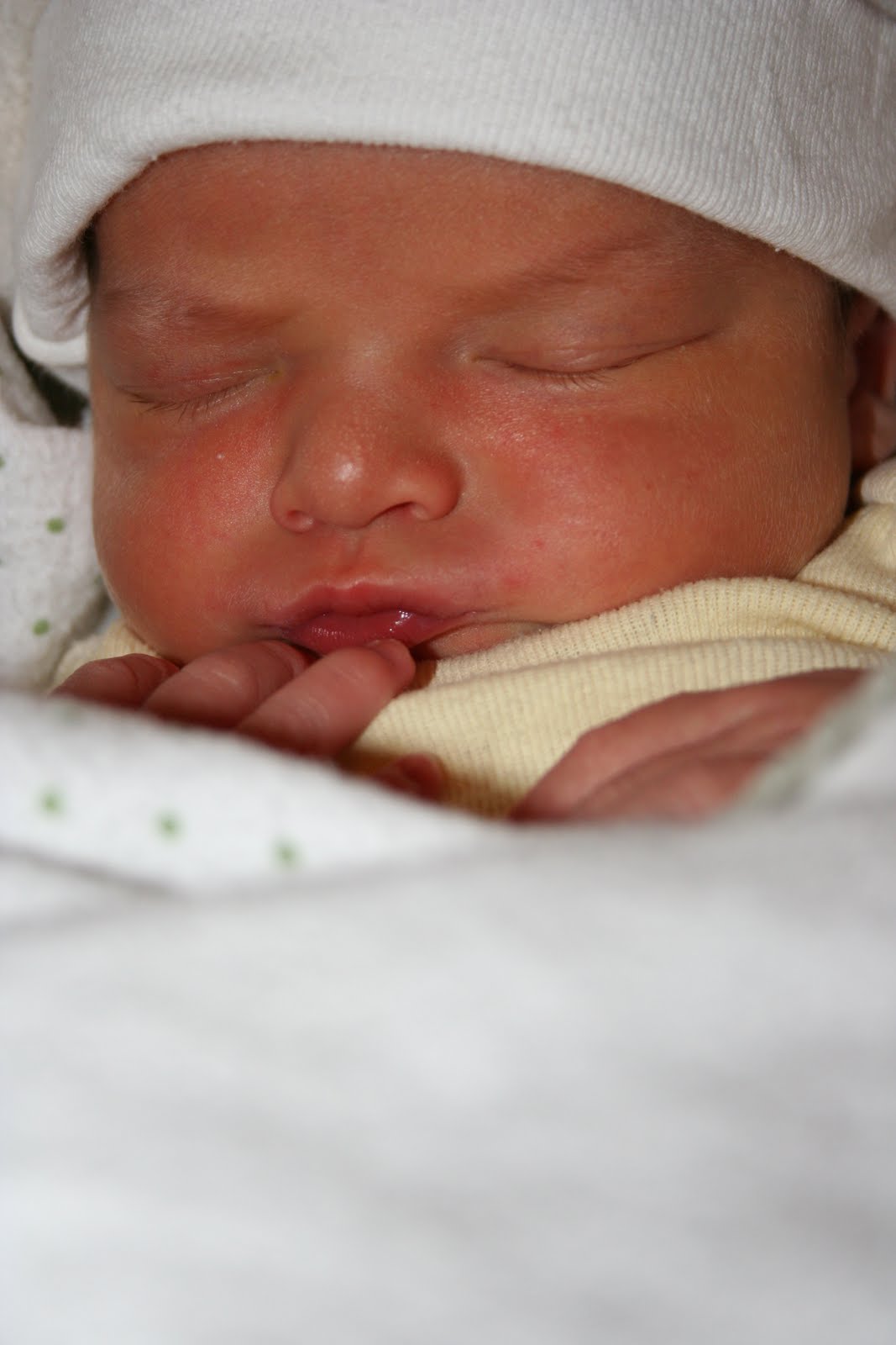 The Brinkerhoffs: GRAYER SCOTT BRINKERHOFF