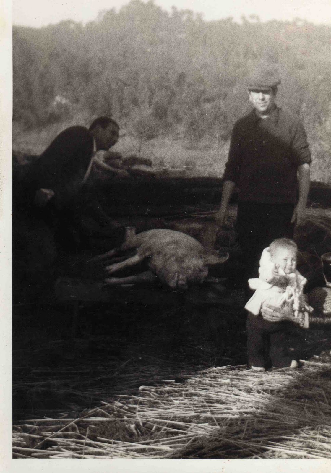 Freguesia de Vilela do Tâmega: Chamuscar o reco