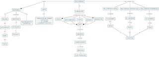 CONCEPTOS DE LA MULTIMEDIA . . .: MAPA CONCEPTUAL " MULTIMEDIA