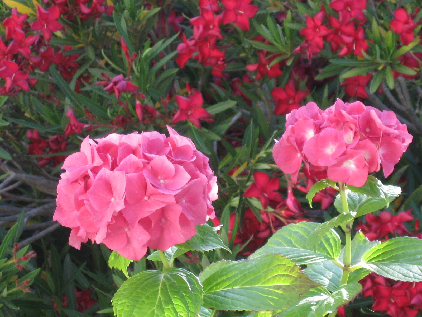 Two-Handed Stitcher: June 2010