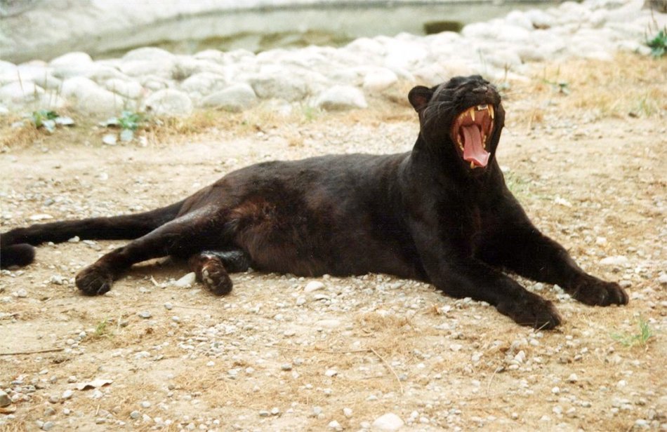 O Movimento é Tenso: 2010-10-10