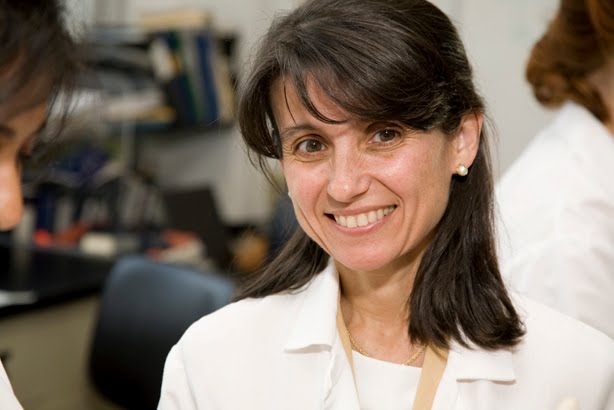 herenciageneticayenfermedad: La autofagia celular se asocia con el ...