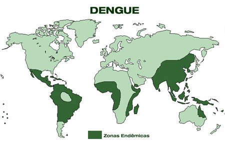 Caballito Educación: Dengue Argentina - salud