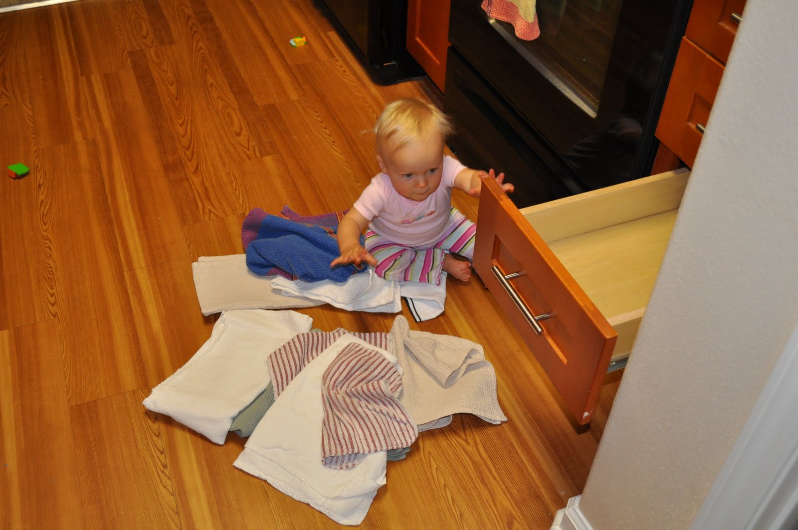 The Ludyjan Girls: Getting into things