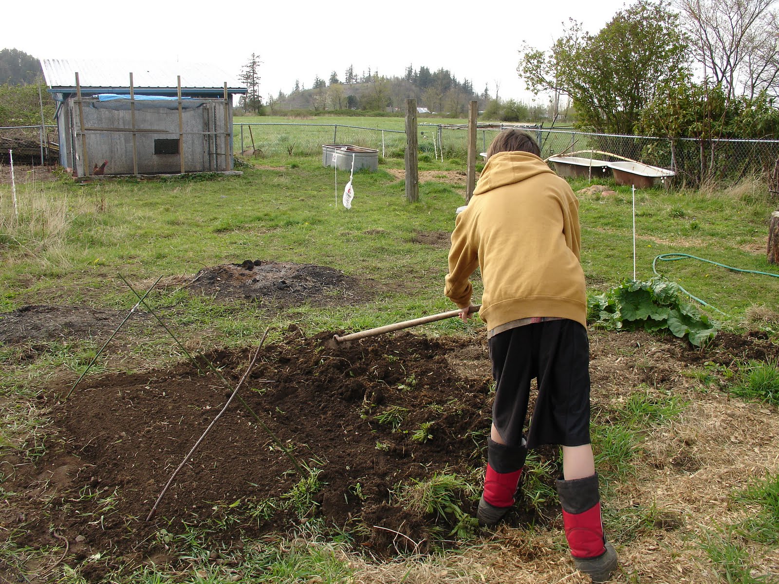 Small Farm Life Along the Cascade Range