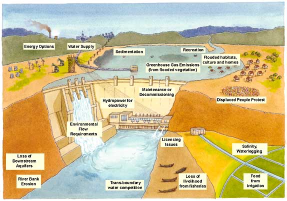 Stream Habitat Management: Streamflow Alteration In Class Discussion ...