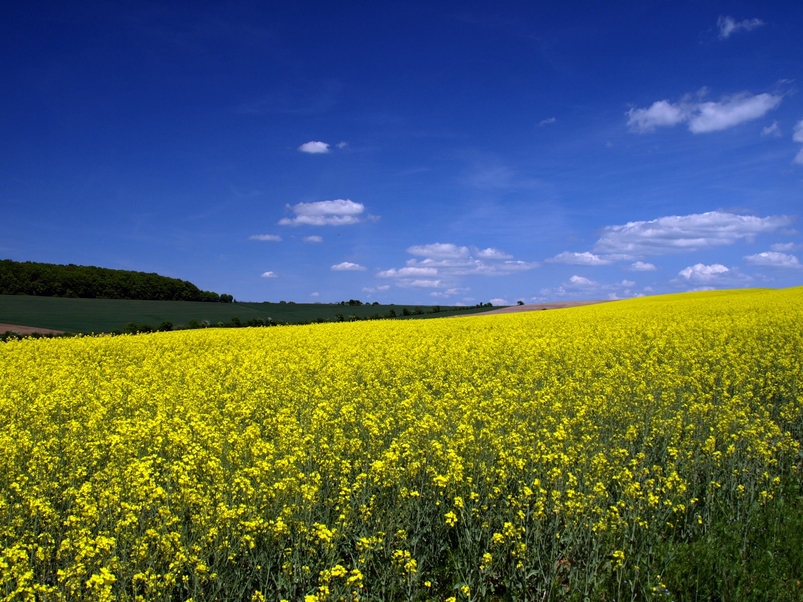 Fonix Magazine: Luxembourg's countryside