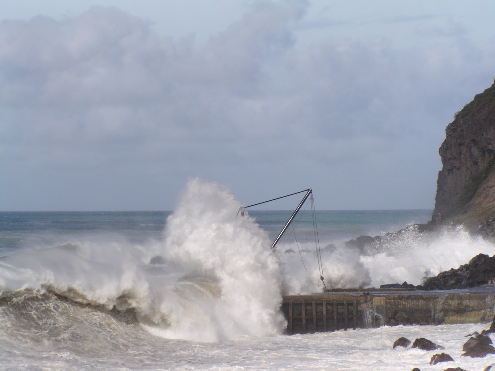 Norfolk Island Nature Watch: Cyclone Zelia