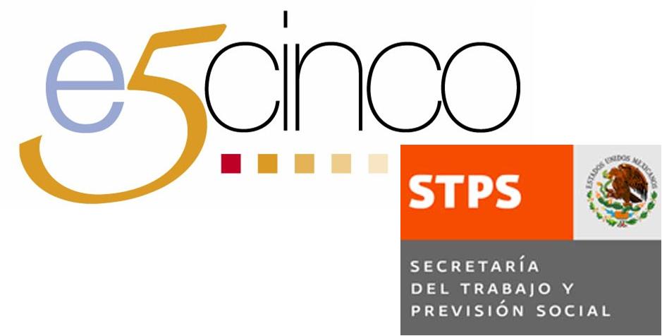 CTS CONSULTORES: SISTEMA E5CINCO Y STPS