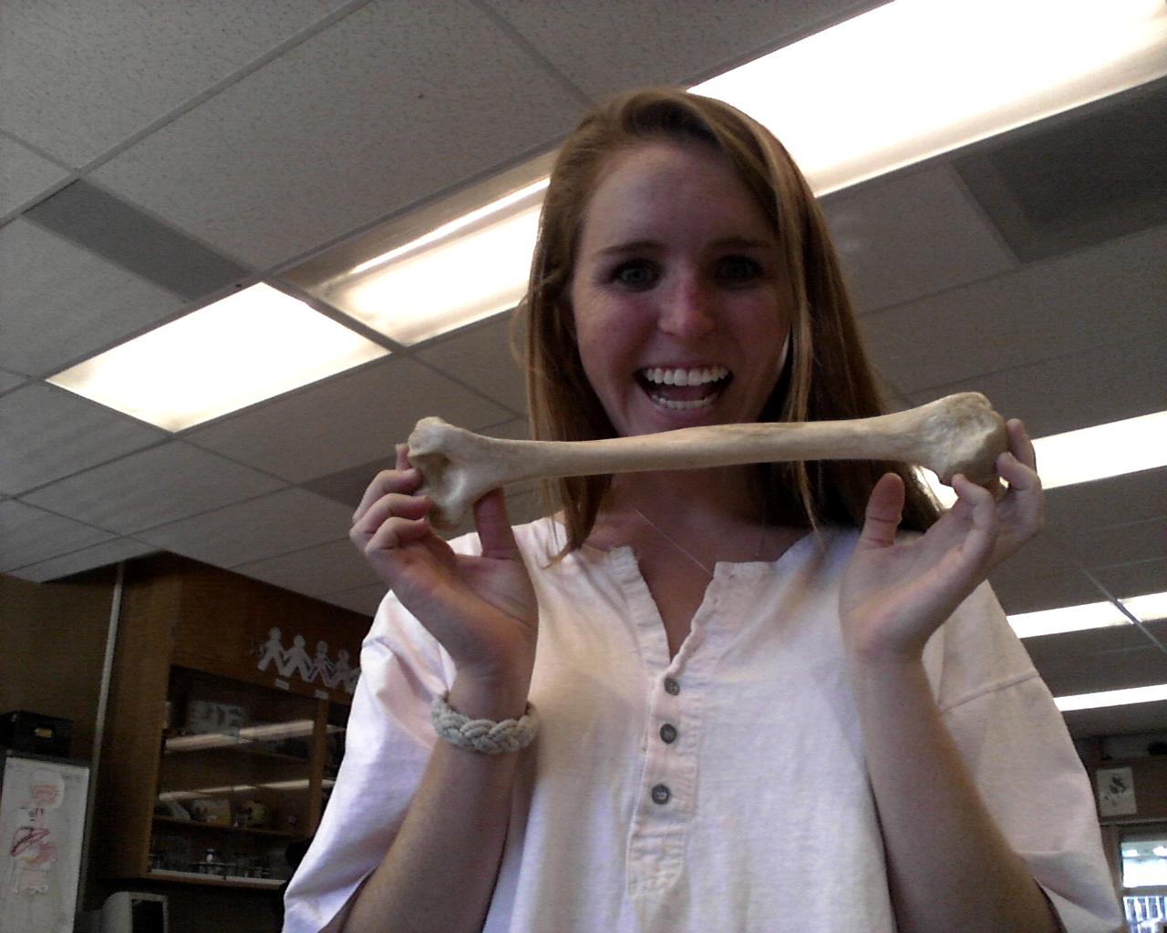 Period 6 Sam Physio BLab: Ex 8: Bone Classification, Structure ...