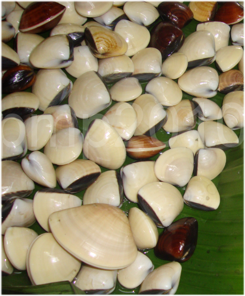 It's My Panay!: Feature: