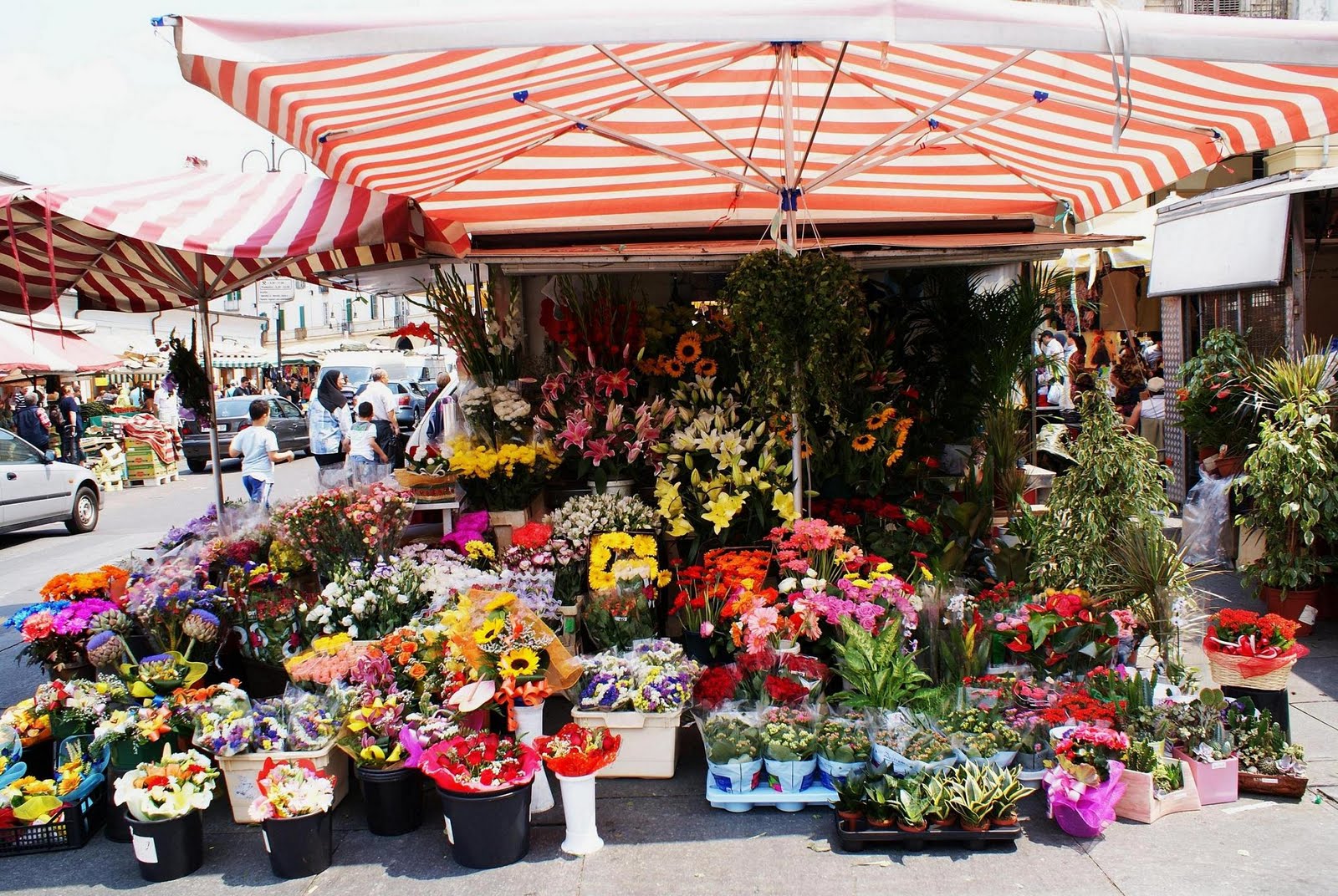 All Roads Lead To Pecetto: Torino Travel Guide: Porto Palazzo