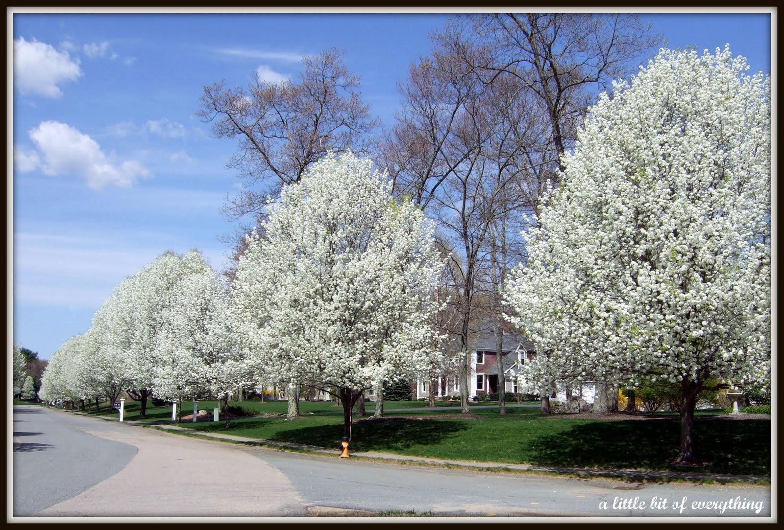 a little bit of everything: 04/20/10